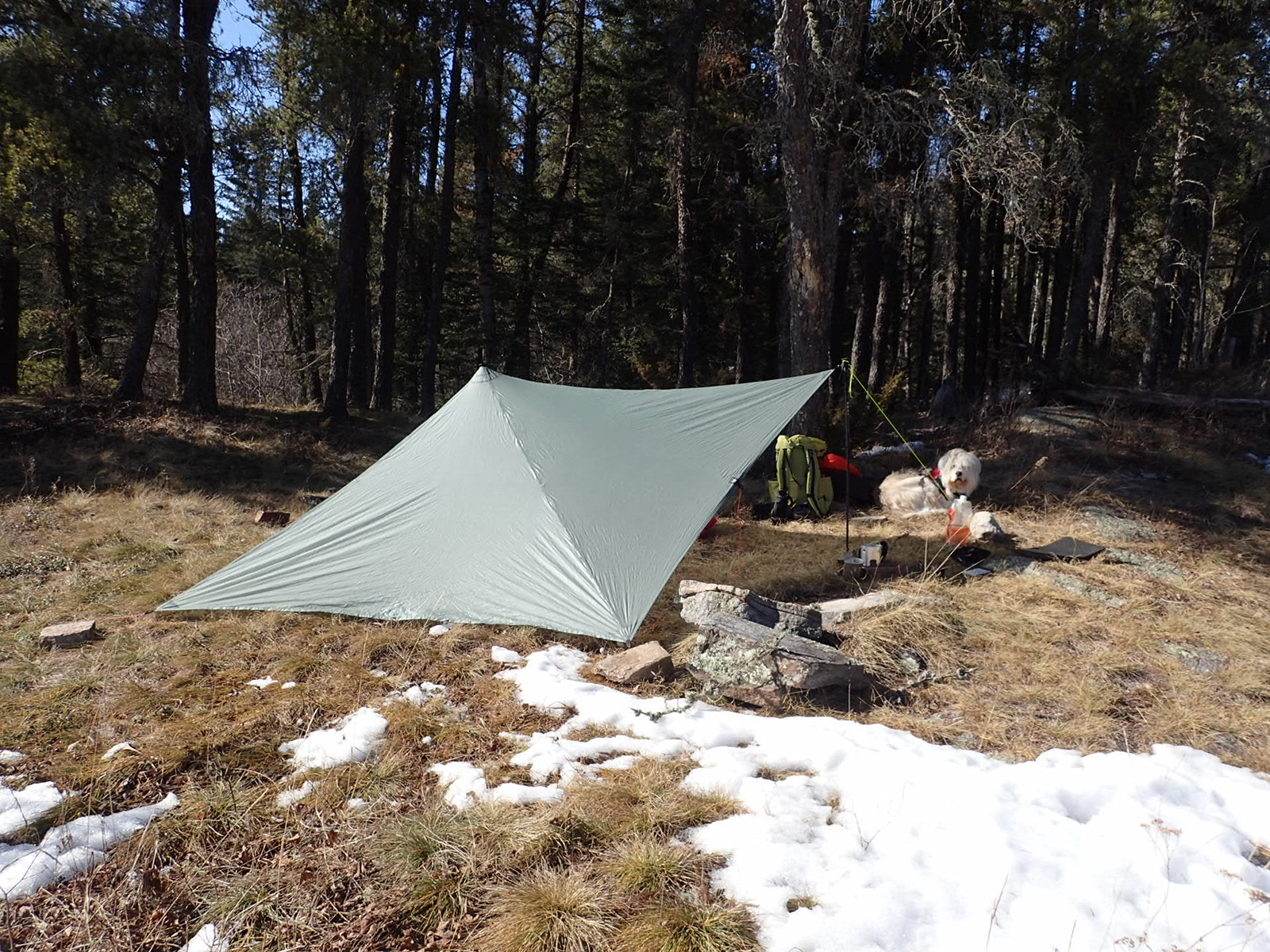 For Sale: MLD Trailstar, silnylon - Backpacking Light