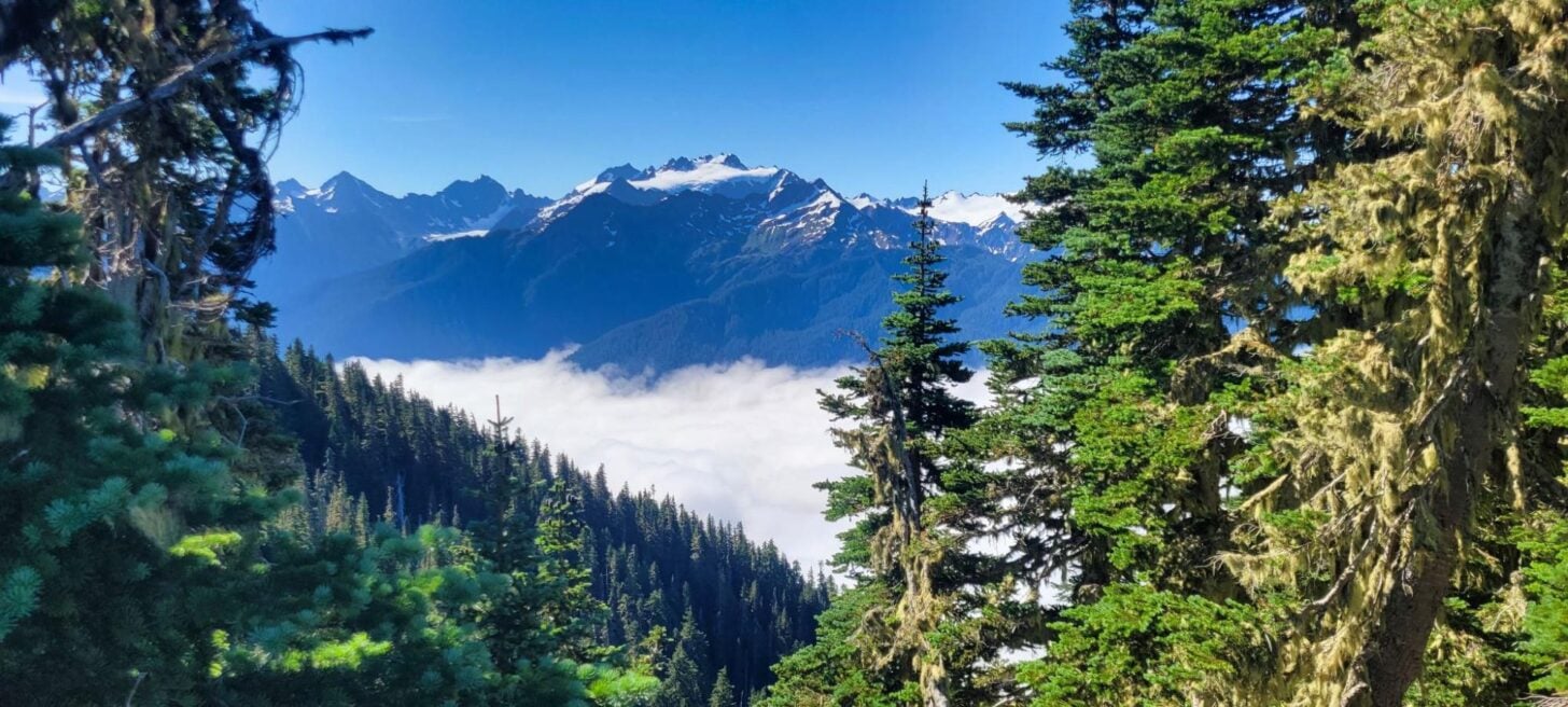 Seven Lakes Basin and the High Divide Loop - Backpacking Light